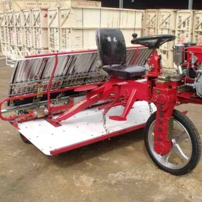 Rice Transplanter Machine in Haryana, Rice Transplanter Manufacturers ...